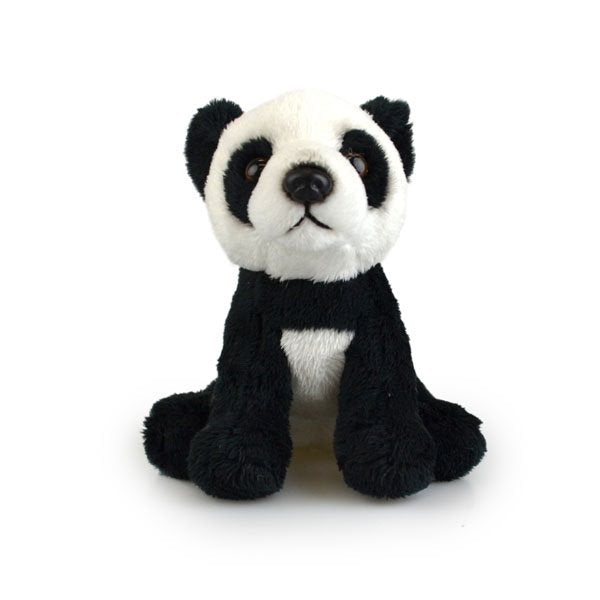 Panda – Zoo Shop