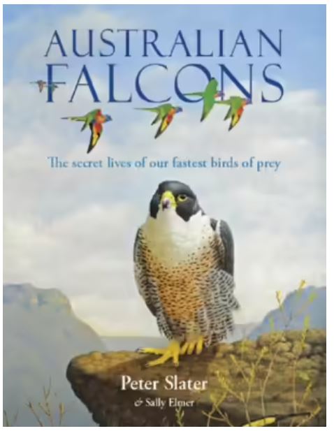 Book Australian Falcons (hardcover) – Zoo Shop