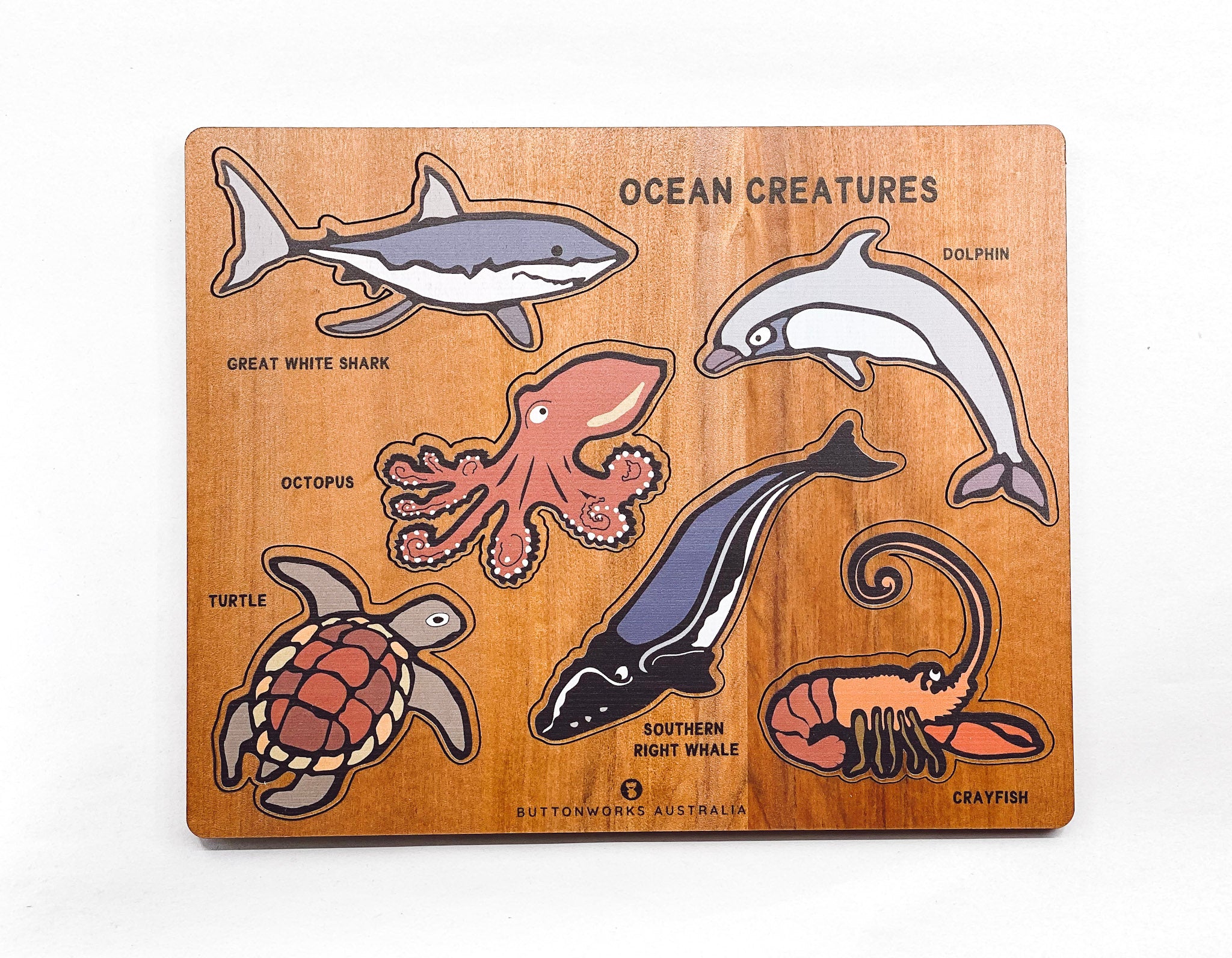 Puzzle Ocean Creatures – Zoo Shop