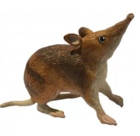 Eastern Barred Bandicoot - Saved From Extinction – Zoo Shop